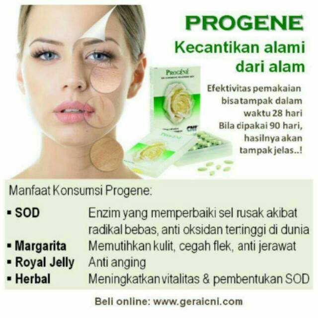 Jual Progene 1 kotak ( 60 tablet ) | Shopee Indonesia