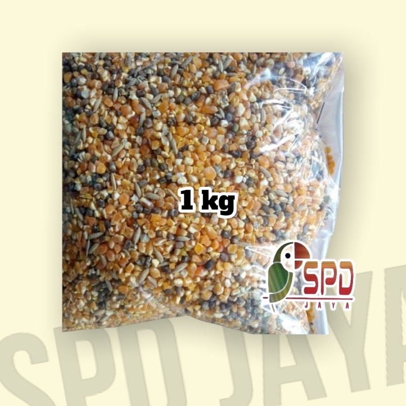 Jual PAKAN BURUNG KUTER TEKUKUR MERPATI DARA JAGUNG CAMPUR 1 kg | Shopee Indonesia
