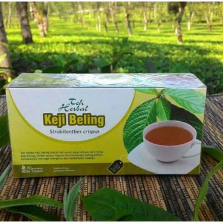 Jual TEH CELUP HERBAL KEJI BELING Obat herbl khasiat ampuh mengobati ...