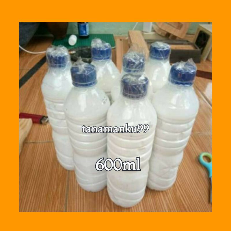 Jual Getah Karet Mentah 100% Bahan Latex Dan Lem Pulut Burung | Shopee ...