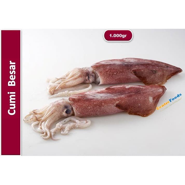 Jual Cumi Besar Fresh - Sotong Fresh | 1.000gr [ Harga Per KG ...