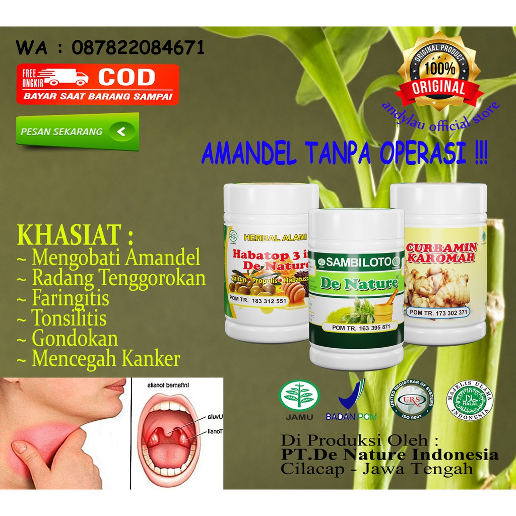 Jual Obat Amandel Radang Tenggokan Herbal Tonsilitis Difteri Sakit Tenggorokan Faringitis ...