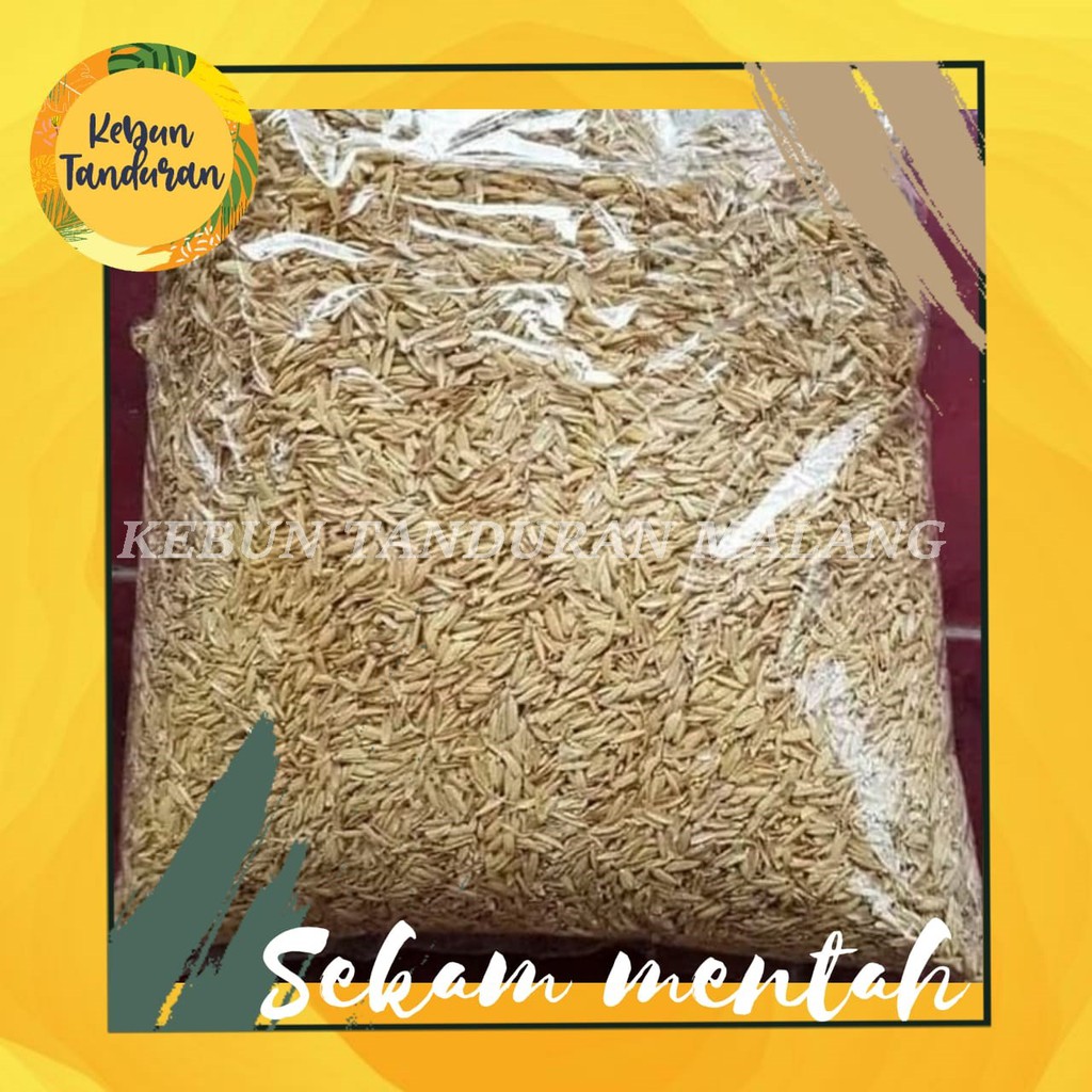 Jual Media Tanam Sekam Padi / Kulit Padi Mentah Kemasan 500 gram ...