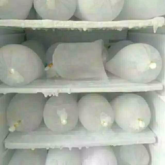 Jual Es Batu Pengiriman Gojek Only | Shopee Indonesia