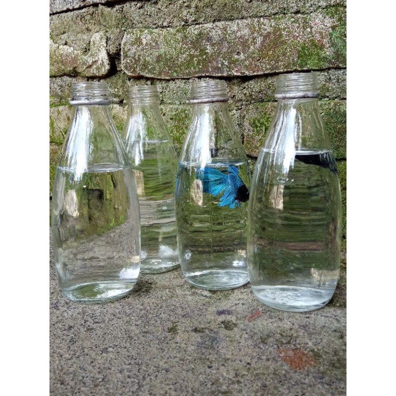 Jual botol rofber/botol soda 250ml murah | Shopee Indonesia