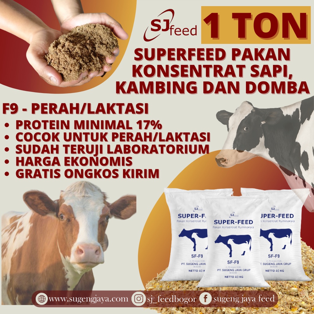 Jual Pakan Konsentrat Sapi, Kambing, Domba Tinggi Nutrisi SUPERFEED - 1 TON | Shopee Indonesia
