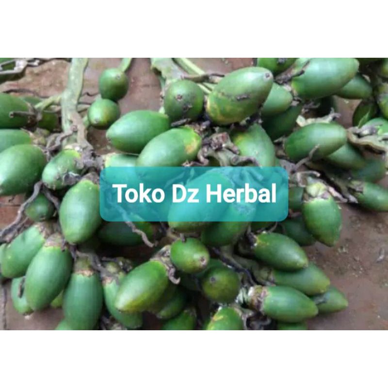 Jual Pinang Muda atau Jambe Segar 1 kg | Shopee Indonesia