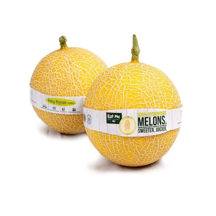 Jual Eat Me Brand - Buah Melon Baby Blonde Hidroponik (900 - 1300g ...