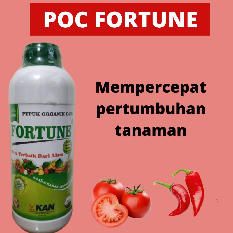 Jual Pupuk Poc Fortune Untuk Cabe Dan Tomat, Pupuk Untuk Tanaman Tomat ...