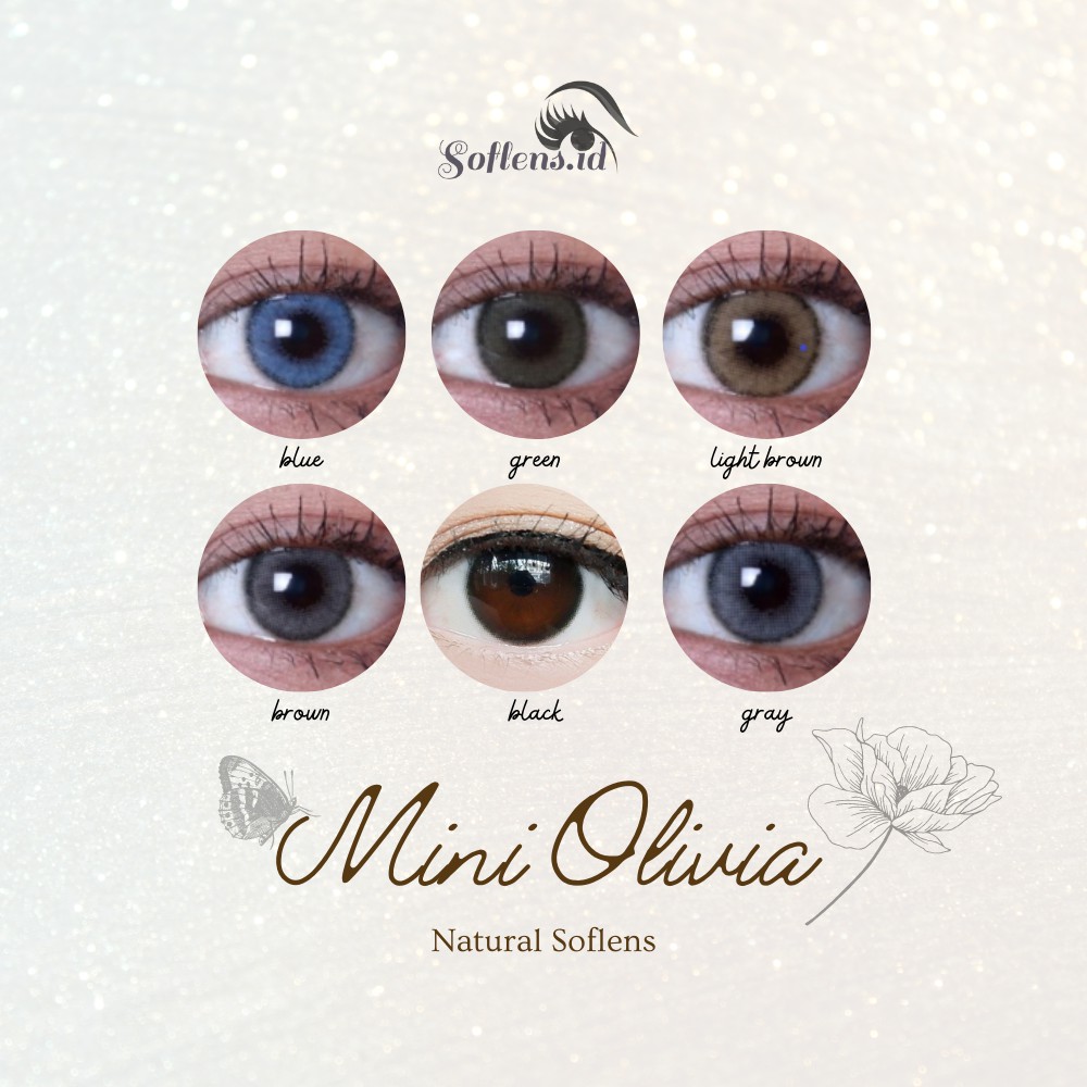 Jual Kitty Kawaii Mini Olivia Soflens Warna Gray Brown Green Blue Black ...