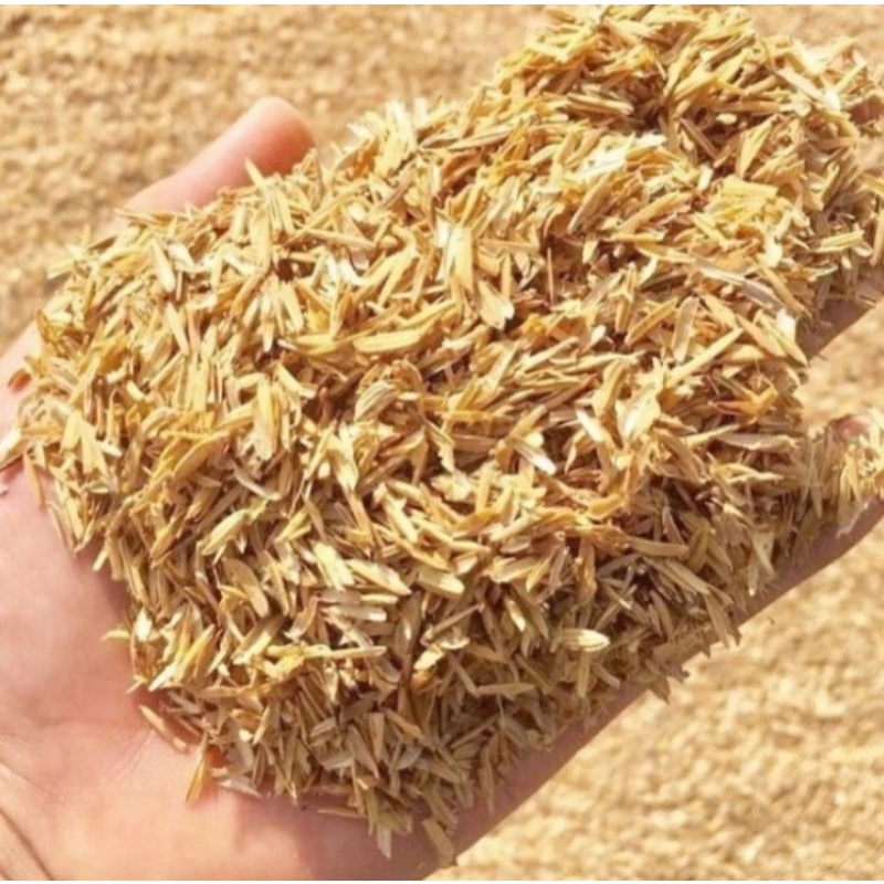 Jual Sekam Padi berkualitas untuk media tanam per 1 kg (original ...