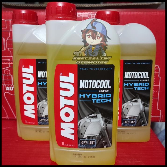 Jual Motul Motocool Expert Radiator Coolant Ready To Use 1 Liter ...