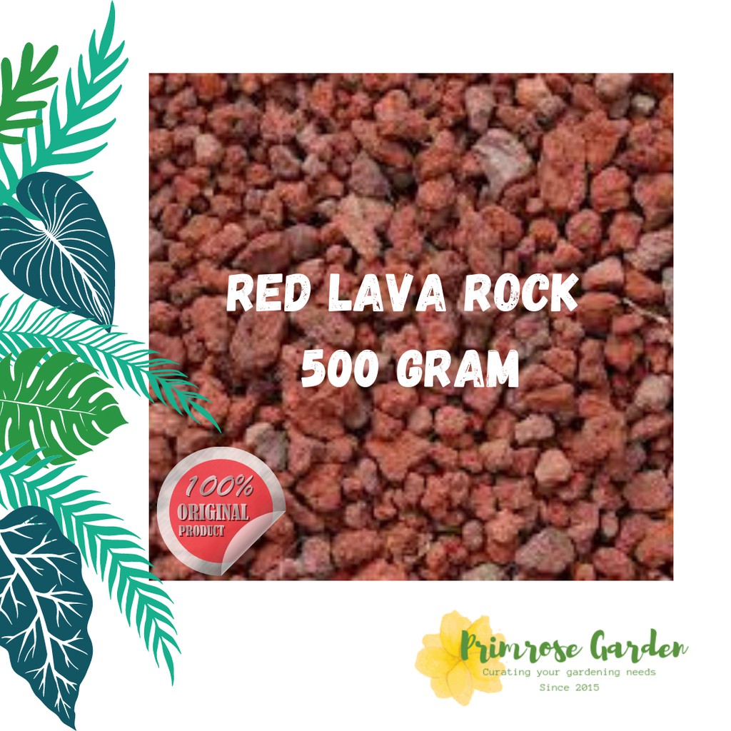 Jual Red lava rock 500 grm | Shopee Indonesia