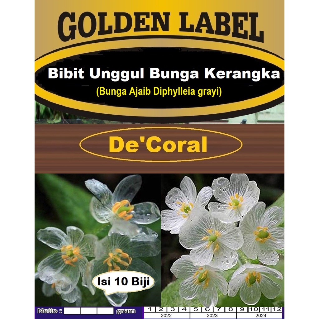 Jual Bibit Bunga Kerangka|Benih Bunga Ajaib Diphylleia Grayi|Bunga ...