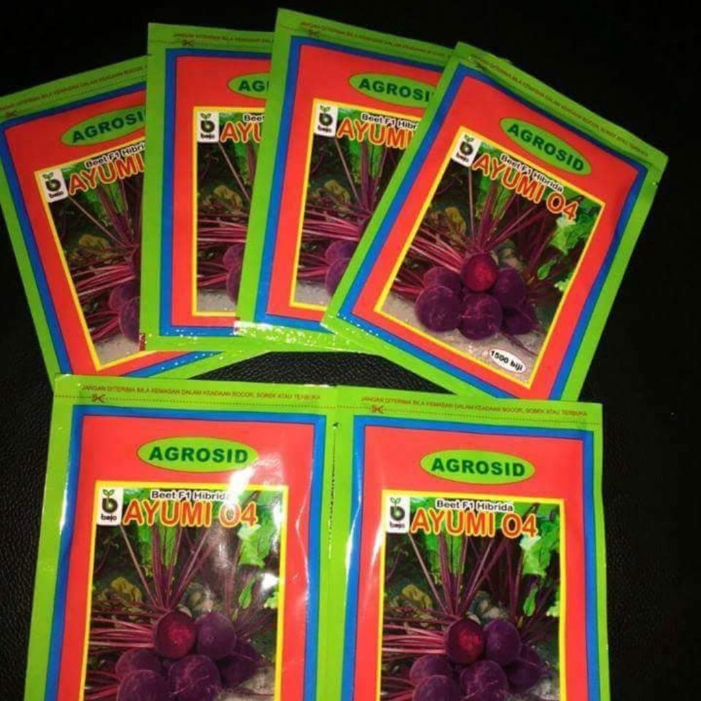 Jual Bibit Buah Bit Benih Ayumi Berkualitas Budidaya Tanaman Andalan ...