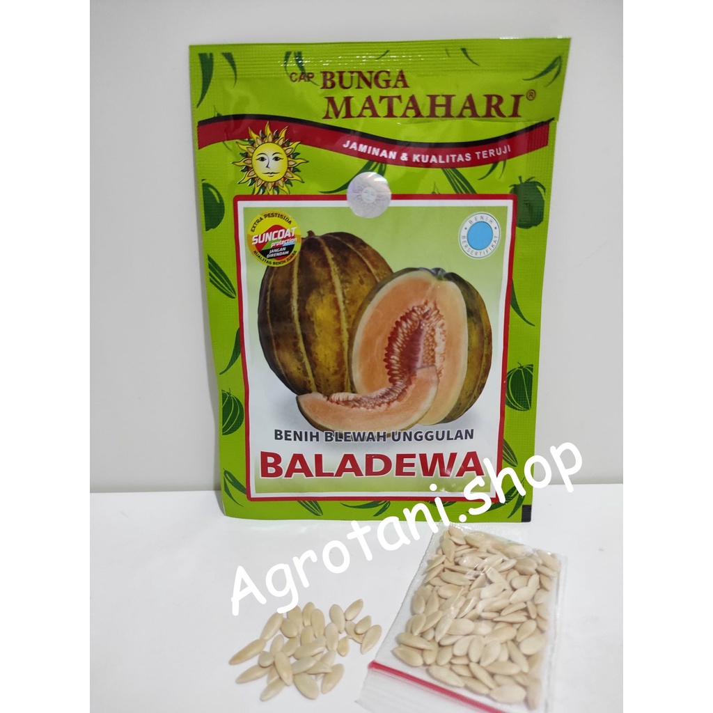 Jual Benih Blewah Baladewa- Kemasan Repack Cap Bunga Matahari | Shopee ...