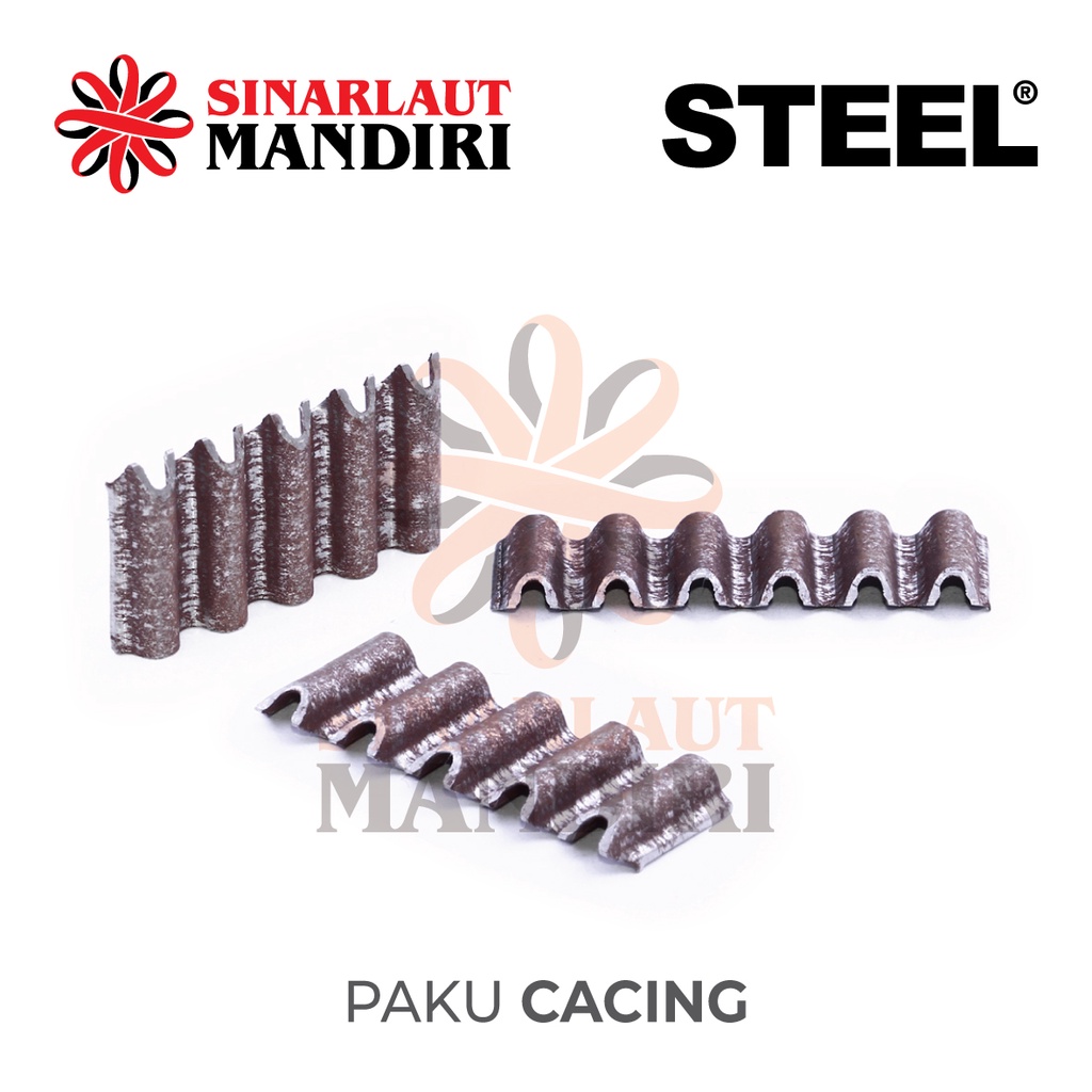 Jual Paku Cacing / Sharp Wood Joiner (1 KG) | Shopee Indonesia