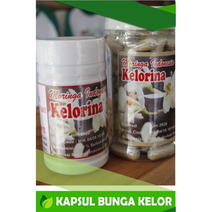 Jual Kapul Bunga Kelor ( Moringa Flower ) | Shopee Indonesia