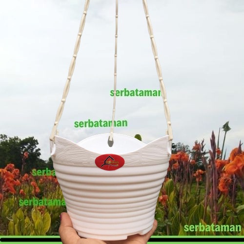Jual Pot Bunga Gantung Alexish Charlie 20 / Pot Tanaman / Pot Gantung ...