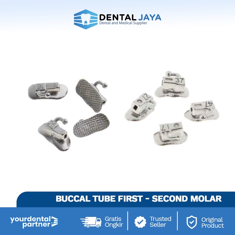 Jual Buccal Tube First Molar | Second Molar M1 | M2 High Quality ...