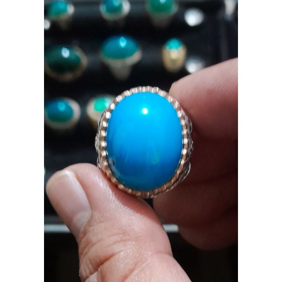 Jual pirus naizabur persia naisabur natural no treat memo aviannoor ...