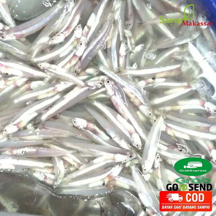 Jual Ikan Teri Basah Segar/ Mairo Fresh Fish Pasar Online Makassar ...