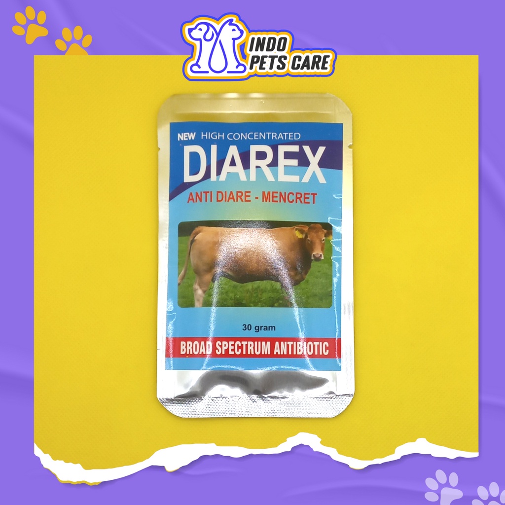 Jual OBAT DIARE SAPI - DIAREX SAPI 30GR - ANTIBIOTIK RADANG USUS ...