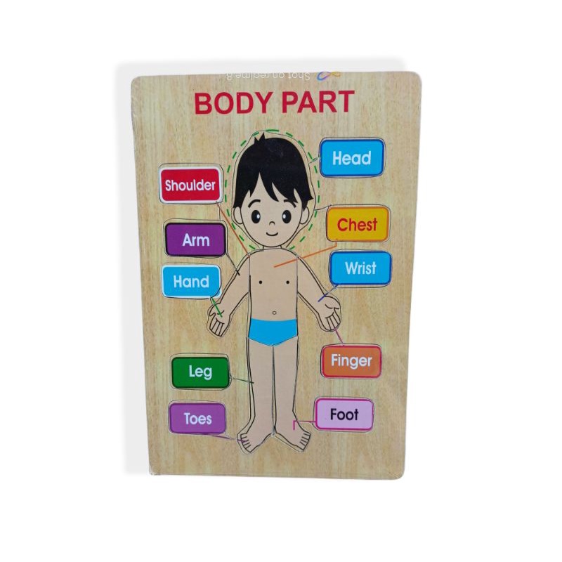Jual Puzzle kayu puzzle Body part mainan edukasi | Shopee Indonesia