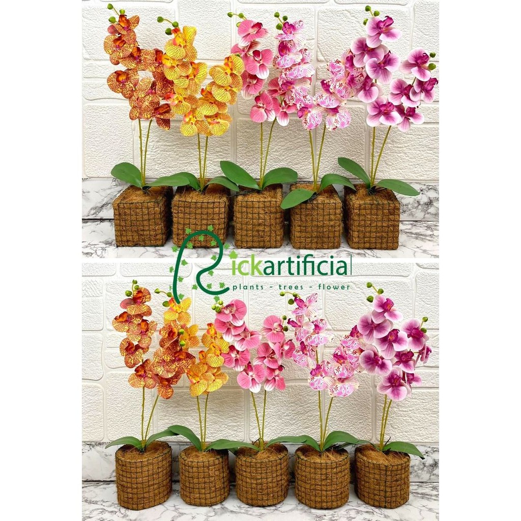 Jual Bunga Anggrek Bulan X2 Latex Artificial Pot Sabut Tanaman Hias ...