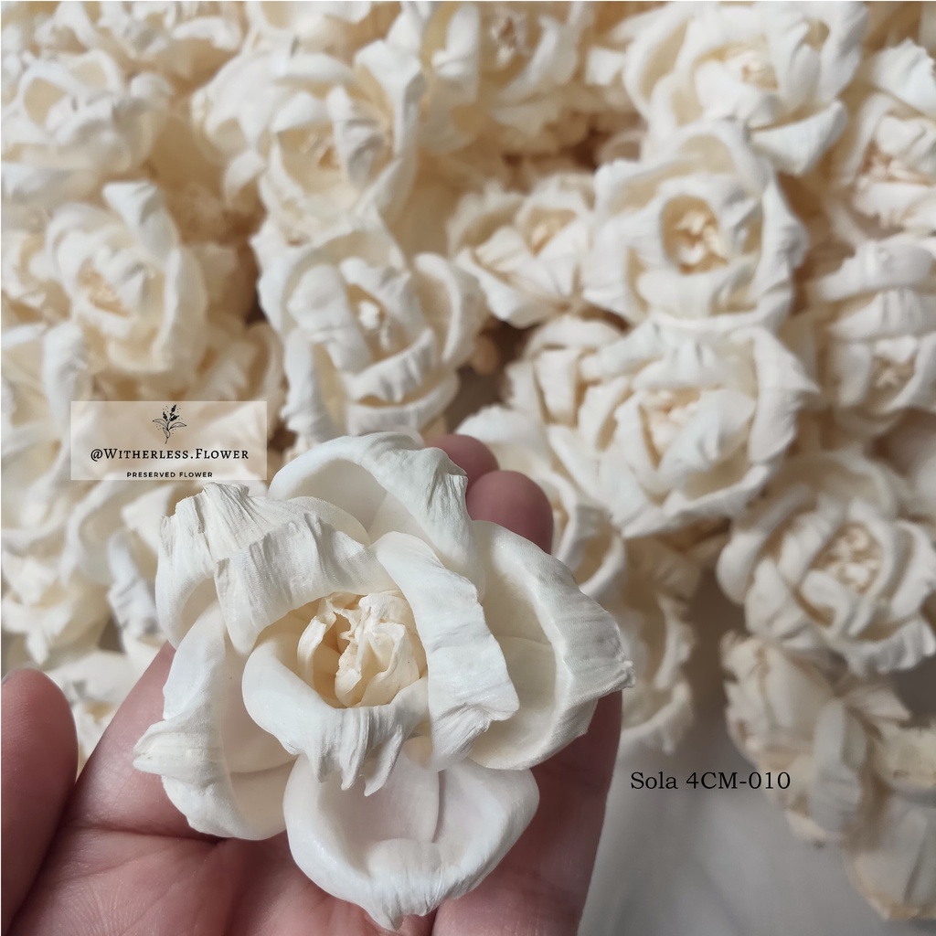 Jual 5 PCS Bunga Sola Wood Flowers 4 CM / Bunga Kayu | Shopee Indonesia