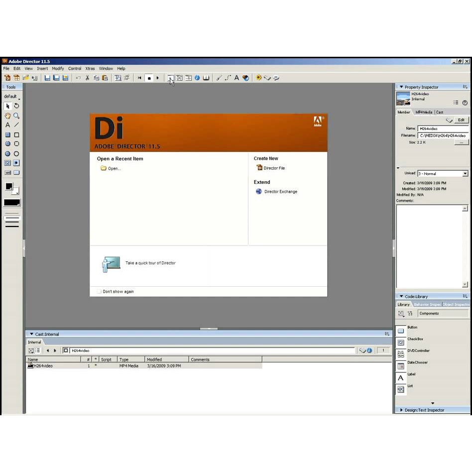 Jual Adobe Director 11.5 (termasuk instalasi sampai berjalan lancar) | Shopee Indonesia