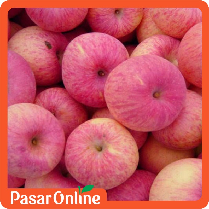 Jual Apel Fuji / Apple Fuji / Buah Segar / Buah Apel | Shopee Indonesia