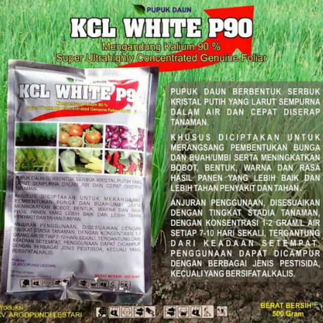 Jual Pupuk KCL White | Shopee Indonesia