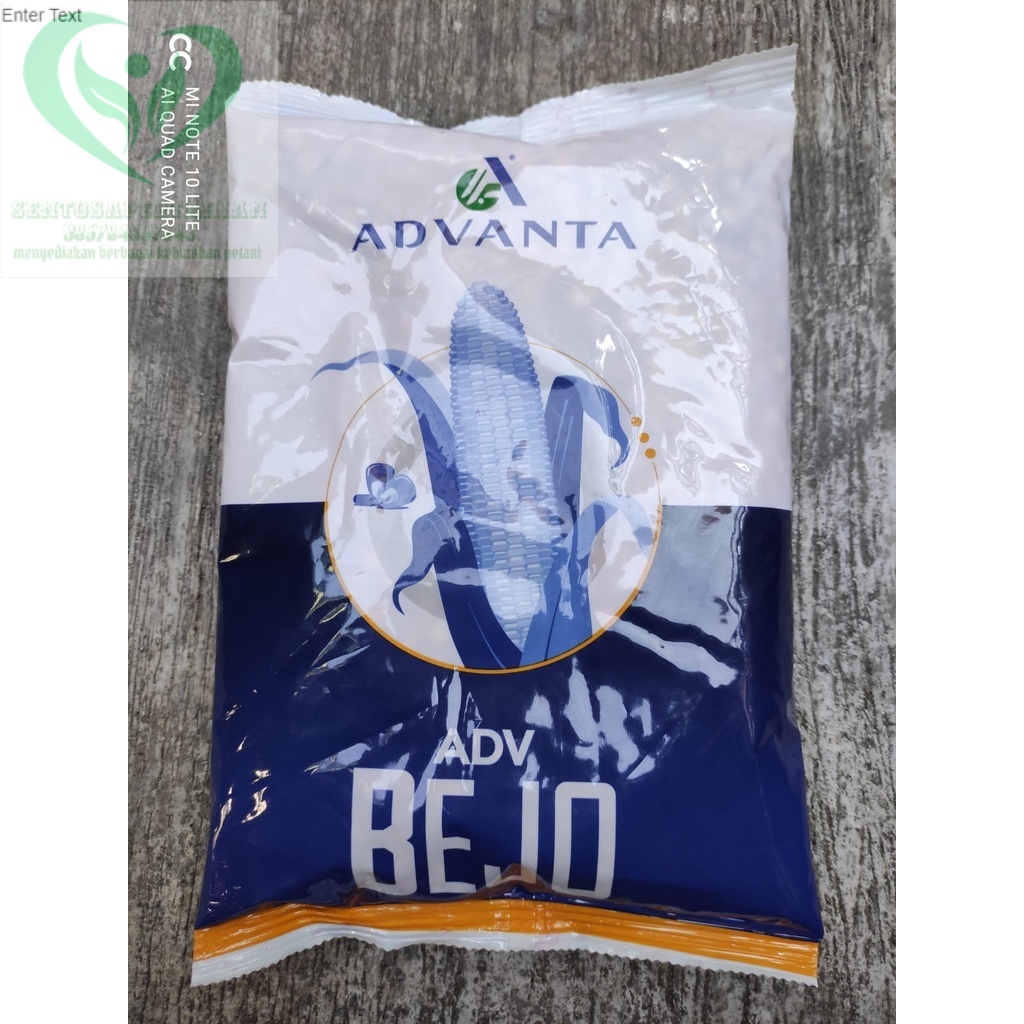 Jual Benih jagung BEJO isi 1kg dari ADVANTA | Shopee Indonesia