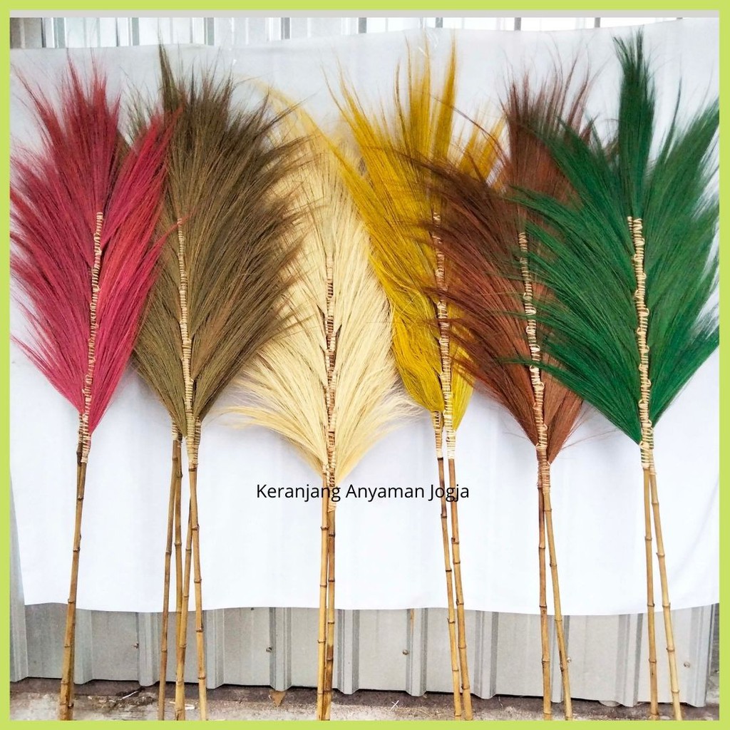 Jual Rayung Stik Decoration / Bunga Kering / Rayung Pampas / Rayung ...