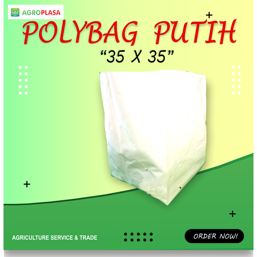 Jual Polybag Ukuran 35x35 warna putih | Shopee Indonesia