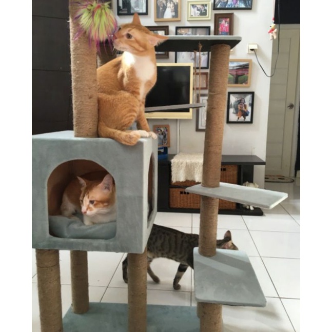 Jual cat tree cat condo rumah kucing dan garukan kucing cat tower ...