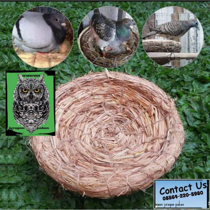 Jual tarangan jerami, tempat bertelur | Shopee Indonesia