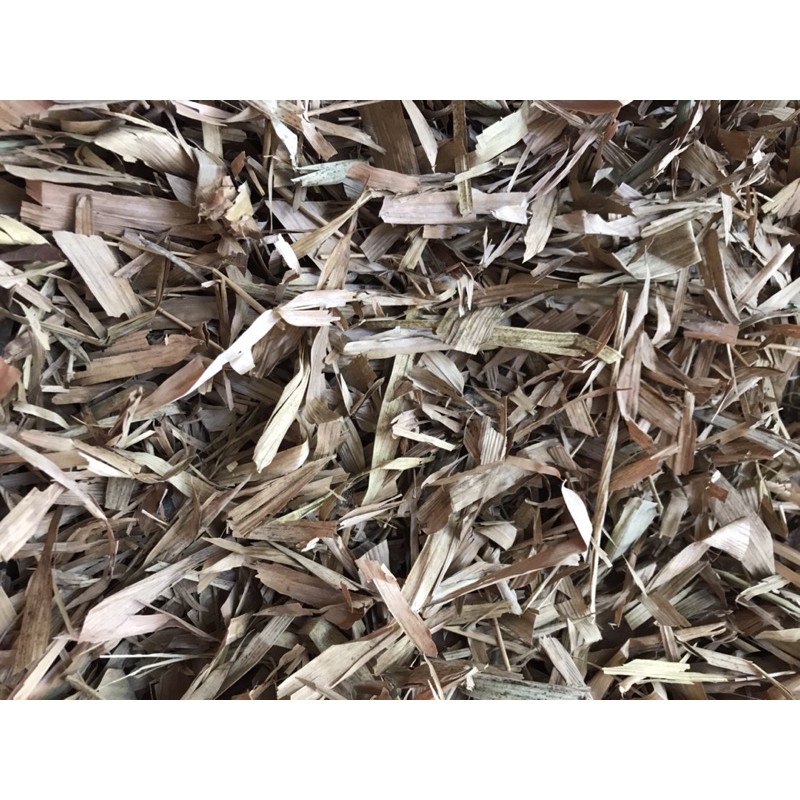 Jual Media tanam daun bambu kering 1kg murah | Shopee Indonesia