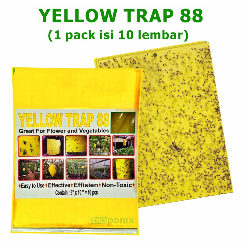 Jual Yellow Trap Perangkap Hama Tanaman (1 pack = 10 lembar) | Shopee ...