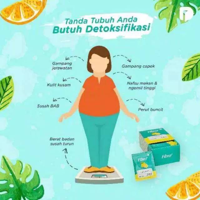 Jual Fibro Original 1 box 15 sachet fiber detox | Shopee Indonesia