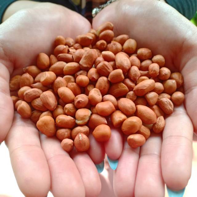 Jual Kacang tanah kulit ari mentah 1kg | Shopee Indonesia