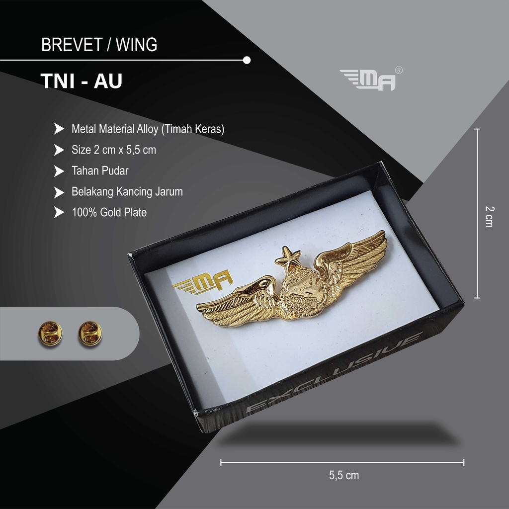 Jual WING INSTRUKTUR PENERBANG TNI - AU PDH BRIVET BREVET PIN TNI - AU | Shopee Indonesia