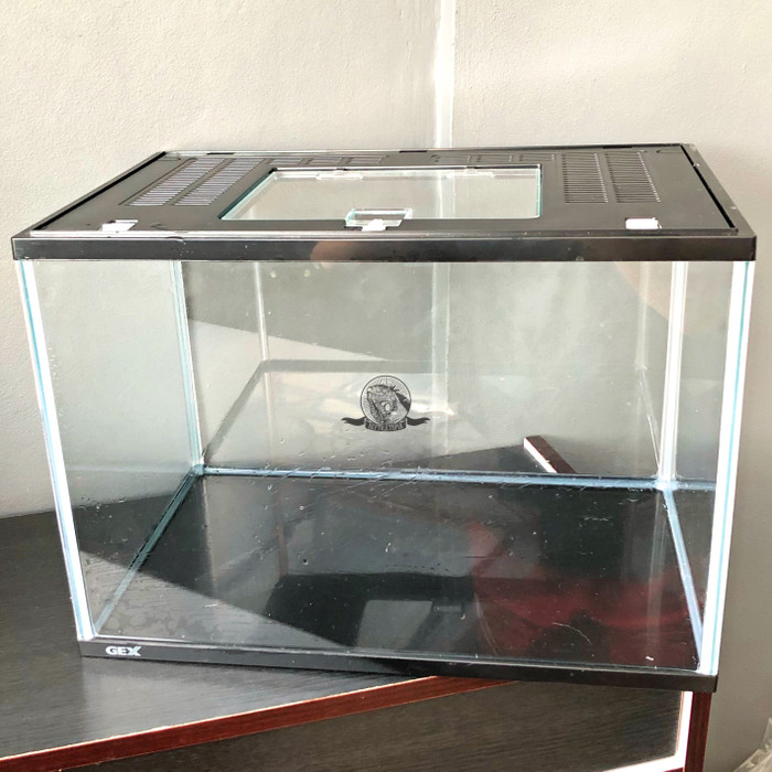 Jual Gex Aquarium Akuarium Tinggi kandang reptile ikan ular kadal tortoise | Shopee Indonesia