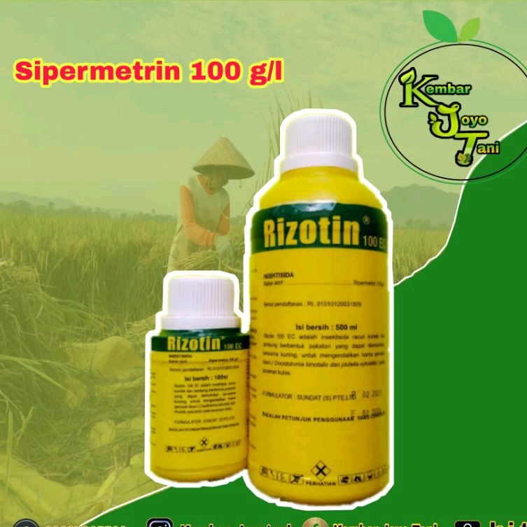 Jual Insektisida Rizotin 100EC Pembasmi Hama pada Tanaman | Shopee ...
