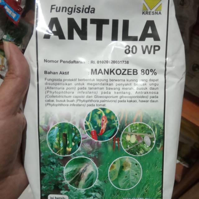 Jual Fungisida ANTILA 80 WP ( 500 gram) | Shopee Indonesia