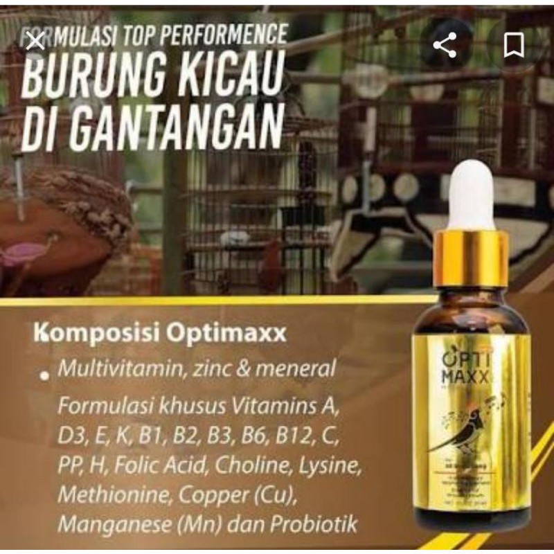 Jual optimaxx vitamin burung kicau murai kacer cak ijo kapas tembak ...