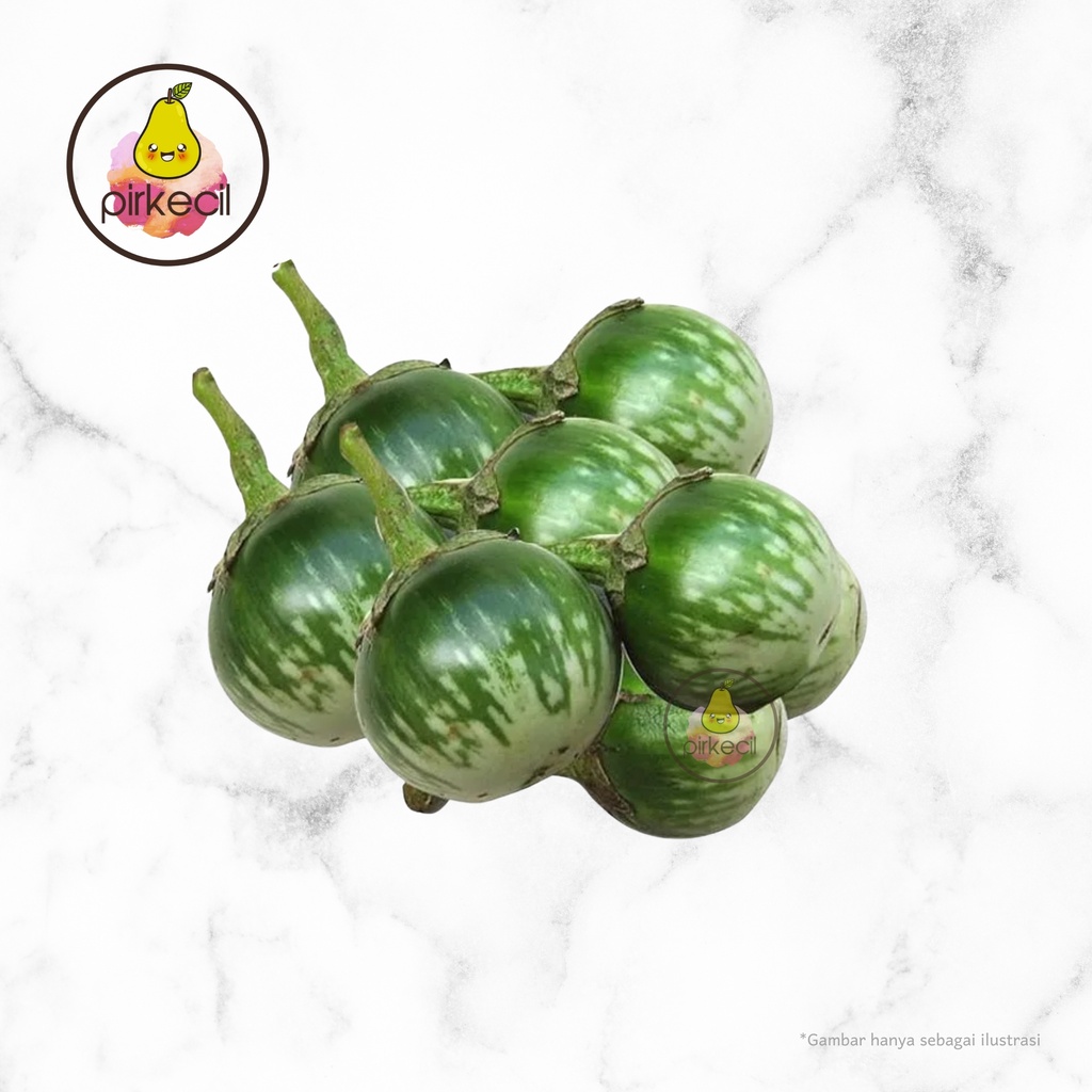 Jual Terong Hijau Bulat 250 gr | Shopee Indonesia