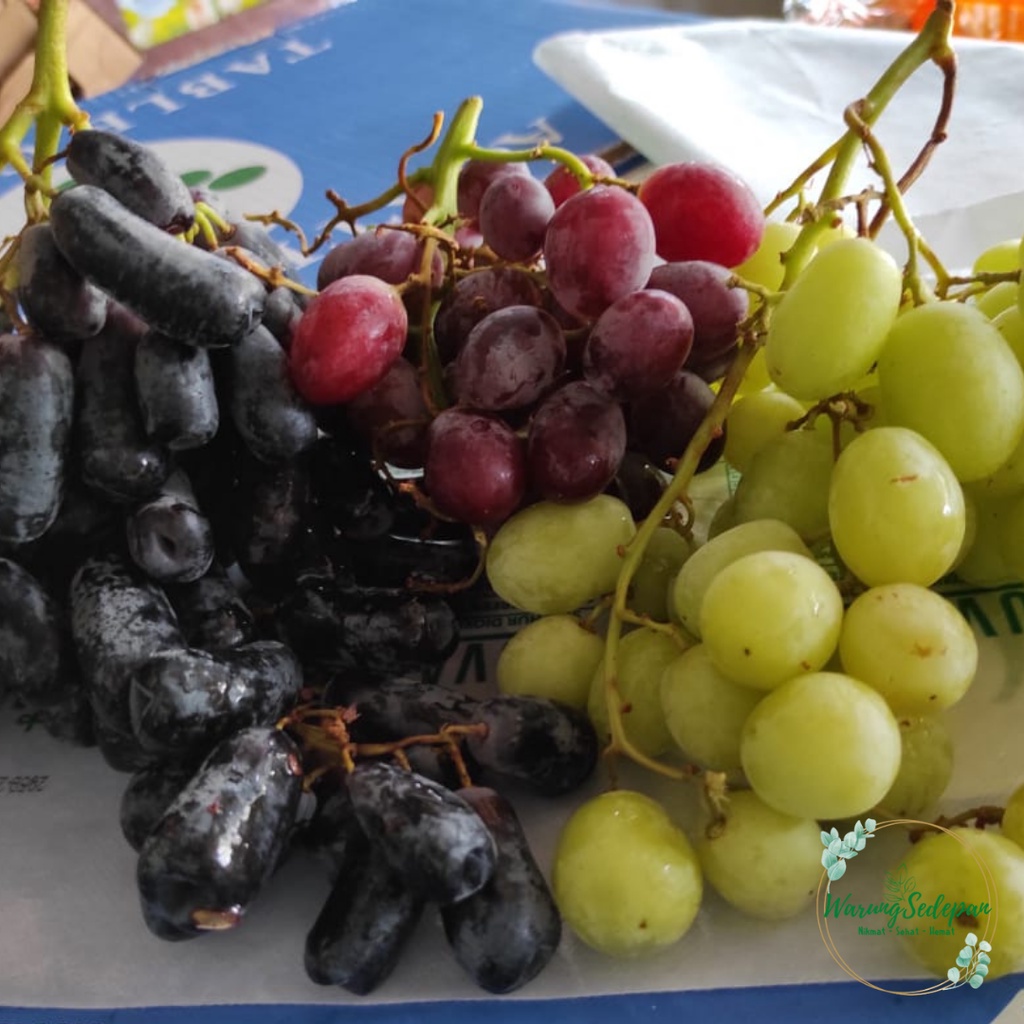 Jual Anggur Import Anggur Black Autumn Anggur Tanpa Biji Anggur Segar ...