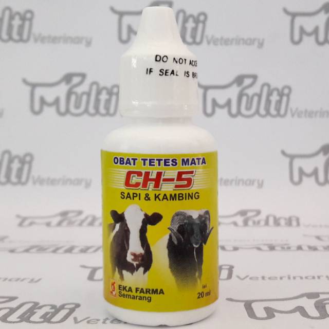 Jual CH-5 Obat Tetes Mata Sapi Kambing 20ml EKA FARMA | Shopee Indonesia
